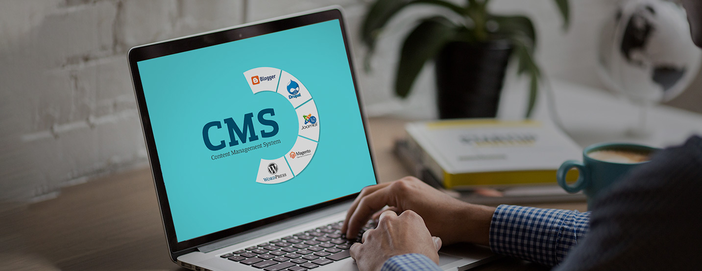 Cms Development Services Blue Diamond Infotech Pvt Ltd